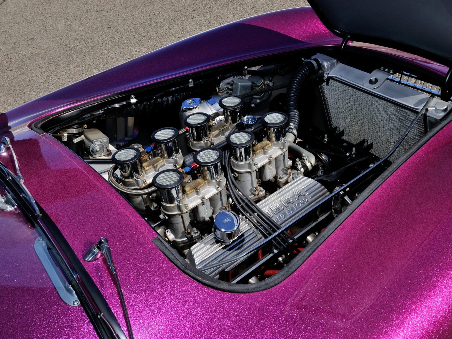 Dragon Snake – the Drag Racing Cobra – TheShelbyCars.com